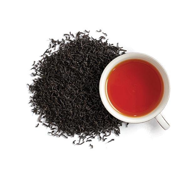 FBOP – Y A Expo Holding