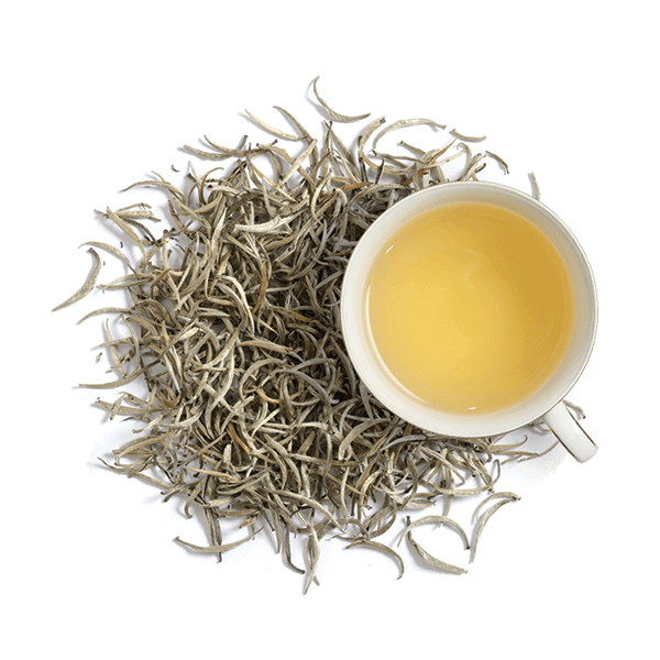 Silver Tips – Y A Expo Holding